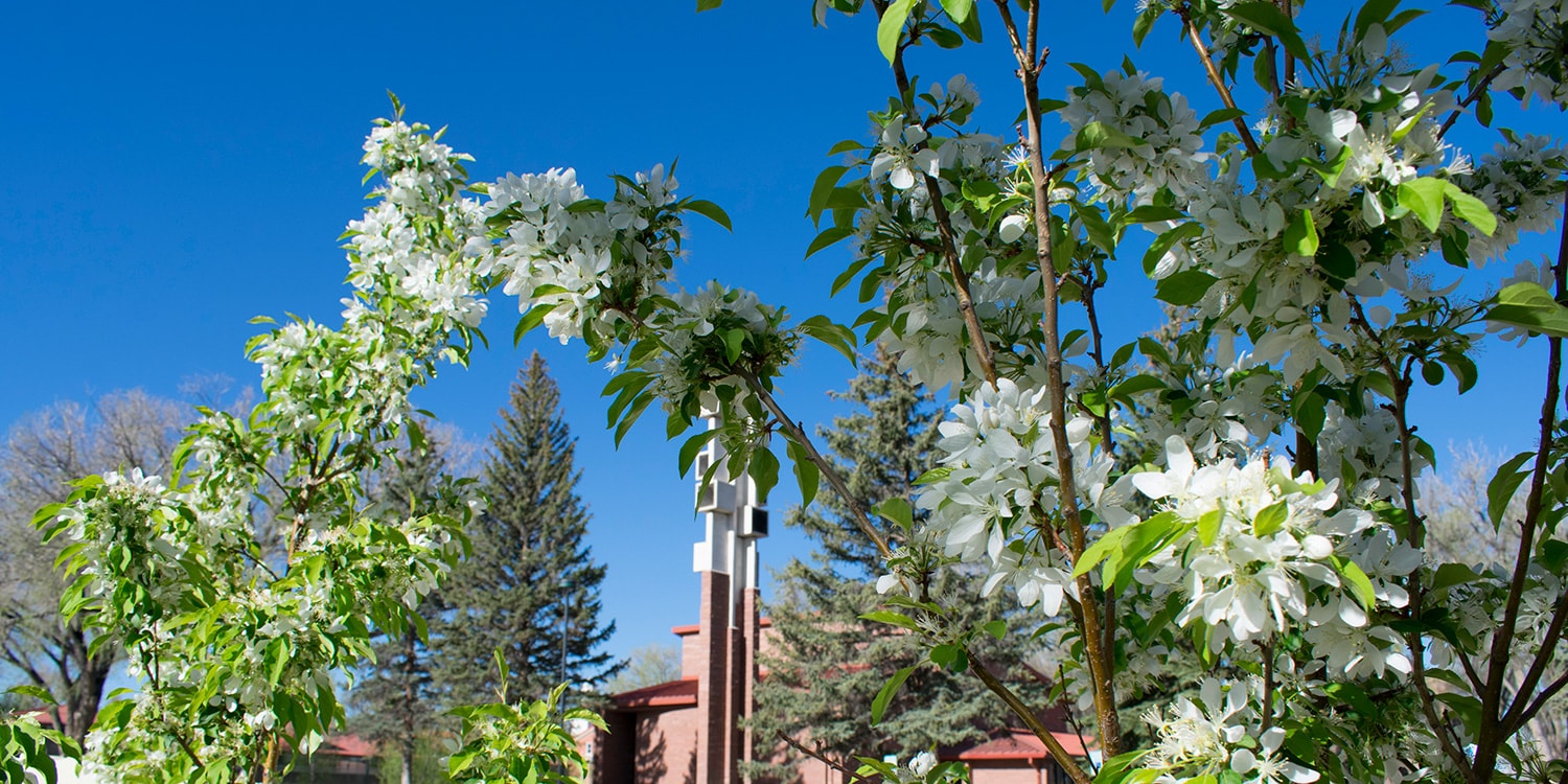 LEAD Graduate Admission Requirements - Graduate Admissions - Adams State University