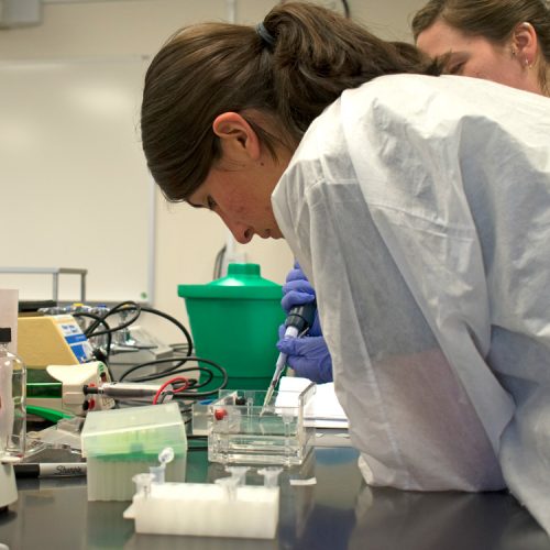 Pre-Health Programs - Biology - Adams State University