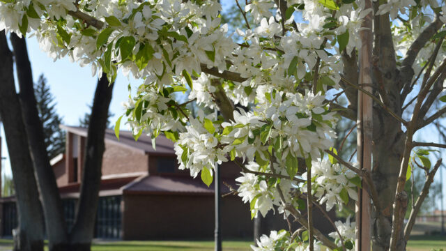 Adams State University in Alamosa, Colorado