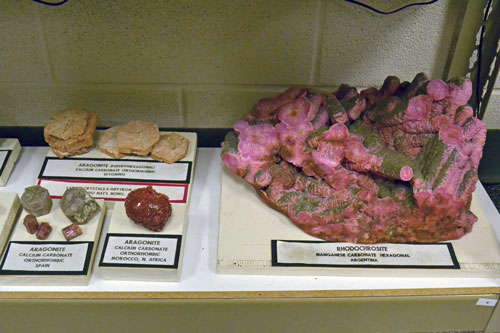 Ryan Geology Museum - Geosciences - Adams State University