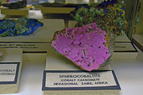 Ryan Geology Museum - Geosciences - Adams State University