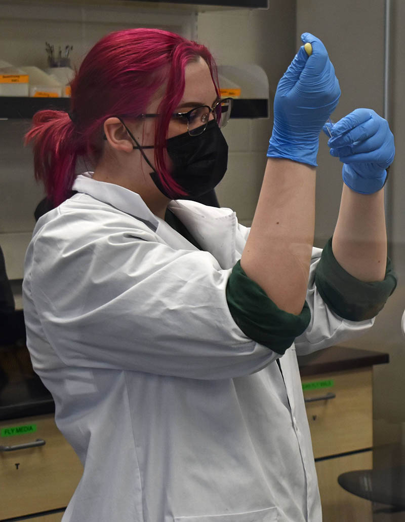 Chemistry, Mathematical Sciences & Computer Science Department ...